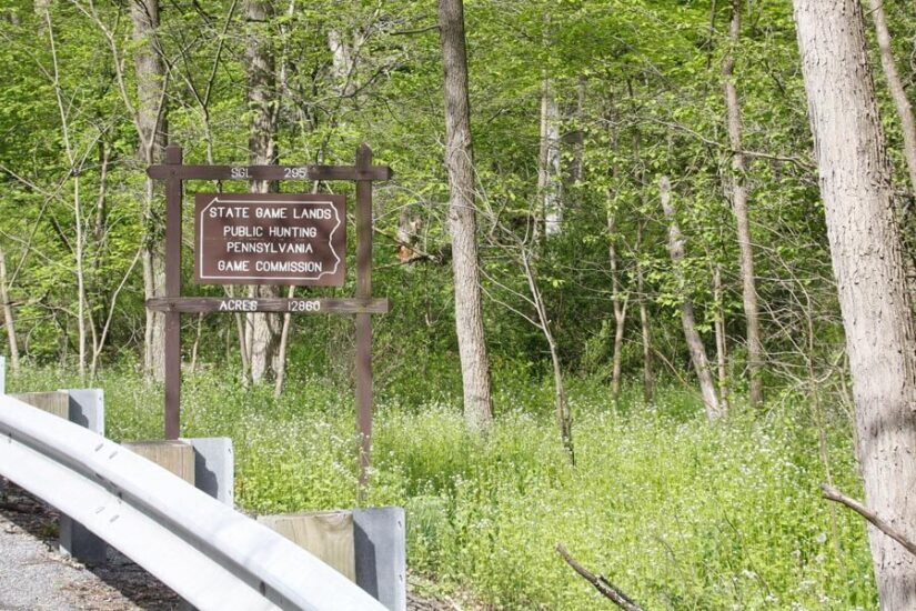 Pennsylvania State Game Land 295, Centre and Clinton Counties - The ...