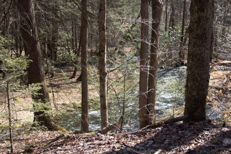Sproul State Forest, Pennsylvania - The ParksBase