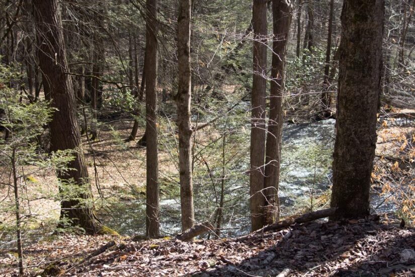 Sproul State Forest, Pennsylvania - The ParksBase